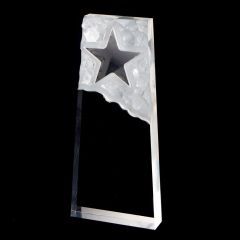 Engraved Clear Acrylic Awards | Trophies2Go