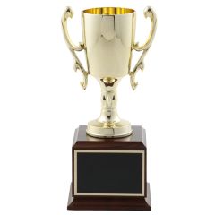 Loving Cup Trophies & Trophy Cups | Trophies2Go